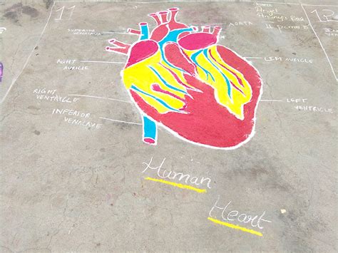 Science Fest Avishkar St Annes Pu College Miller Road