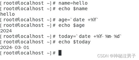 Shell脚本 编程 变量 基本入门(详解)shell脚本入门——变量、字符串 Csdn博客 Shell脚本 编程 变量 基本入门(详解)shell脚本入门——变量、字符串 Csdn博客