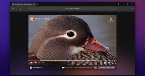 Secure Browsing Redefined With Duckduckgo Browser For Windows