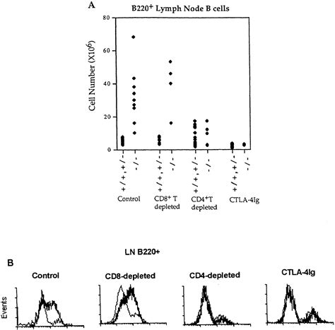 Lymphoproliferation In Ctla 4deficient Mice Is Mediated By