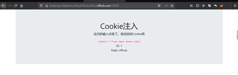 Ctfhub Sql注入 Cookie注入ctfhubcookie注入python脚本 Csdn博客