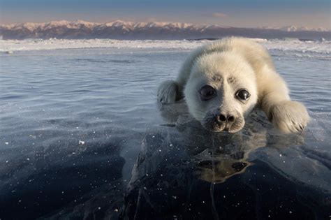 Lake Baikal Facts And Information Russia Beautiful World Travel Guide