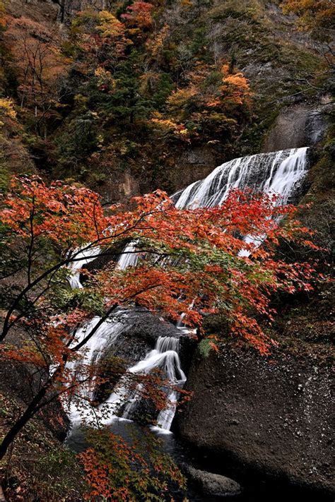 袋田の滝 GANREF