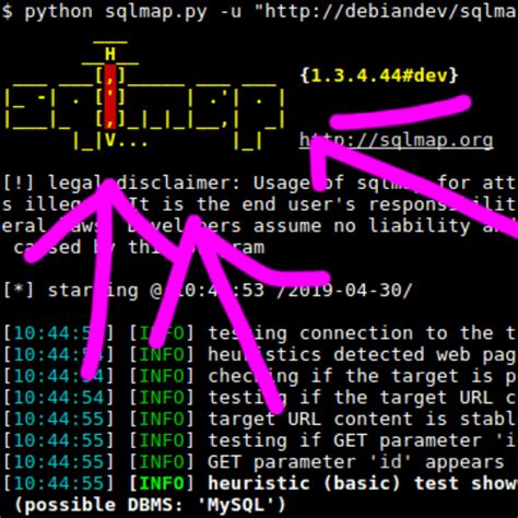 How Does One Getcode These Copypaste Type Things Into The Terminal R