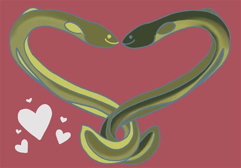 Eel Sex And Other Unanswered Questions The Heights