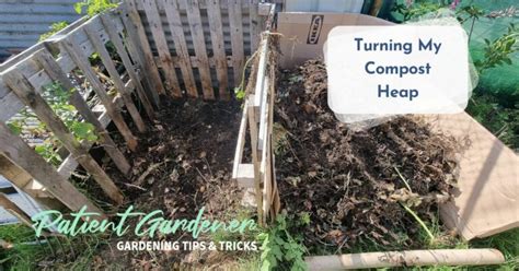 Turning A Compost Heap Patient Gardener