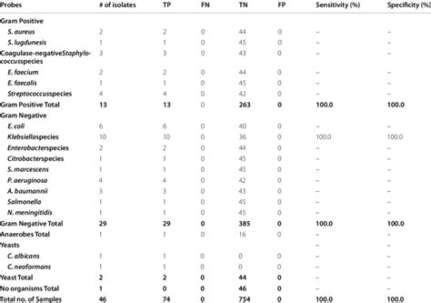 Identification Performance Of Gram Positives Gram Negatives And Yeast