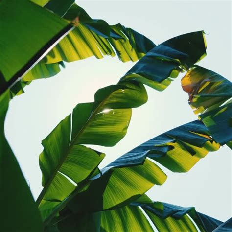 Nathan Chadwick On Linkedin Salesforceadmin Salesforceconsultant Community Addingvalue