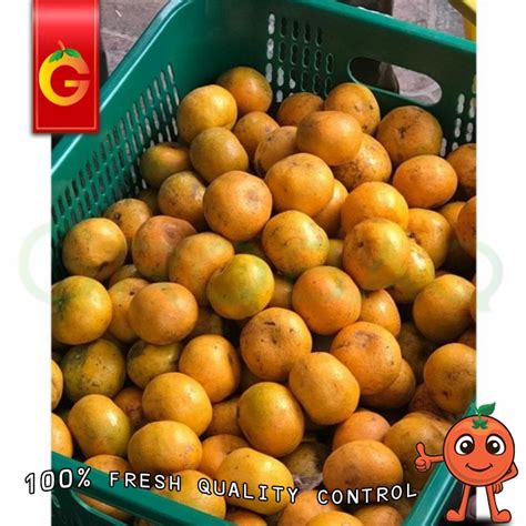 Jual Jeruk Medan Kecil Manis 1 Kg Shopee Indonesia