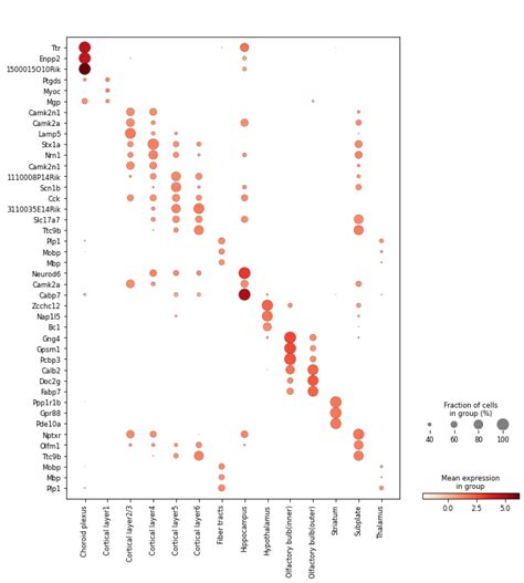 Analysis Of 10x Visium Mouse Brain Slice — Spasrl 012 Documentation