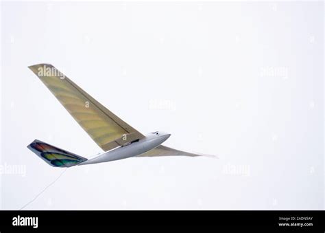 Ornithopter Flapping Wing Aircraft A Miniature Flapping Wing Aircraft