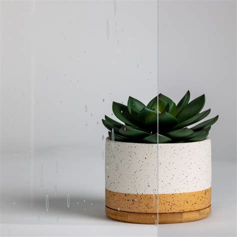 Rain General Glass