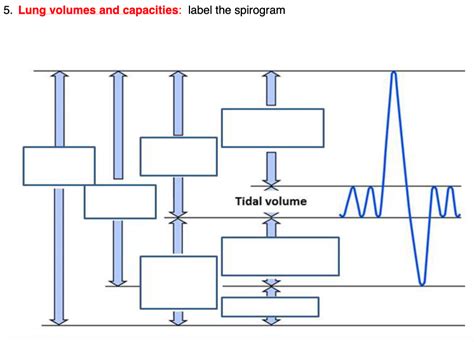 Solved 5 Lung Volumes And Capacities Label The Spirogram