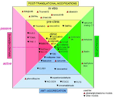 Tau Targeting Approaches In Glioma Glioblastoma And Other Pathologies Download Scientific