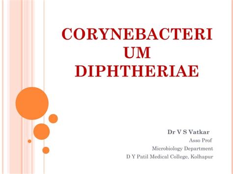 Corynebacterium Ppt