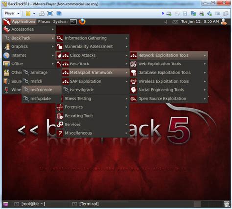metasploitable project lesson 3 exploiting samba cve 2007 2447