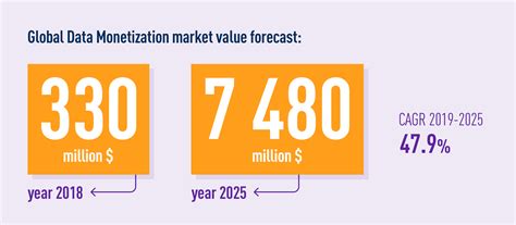 What Is Your Data Value Data Monetization Examples Tasil