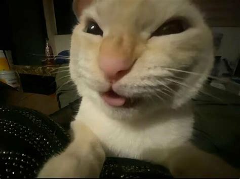 SexLab Sex Sound Sex Effects LoversLab