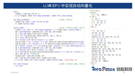 Risc V Vector 自动向量化及在 Llvm 中的实现 Terapines