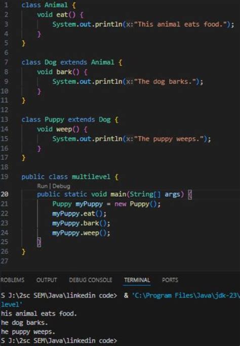 Hackerrank 100dayscoding Inheritance Dhruv Dankhara