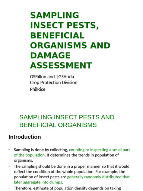 Rice Pest Sampling Guide Pdf Sampling Statistics Pest Organism