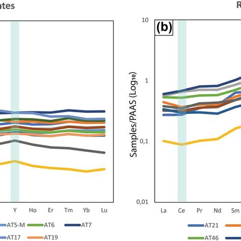 A Thin Section Photomicrograph Of A Thrombolite Showing A Mesoclot