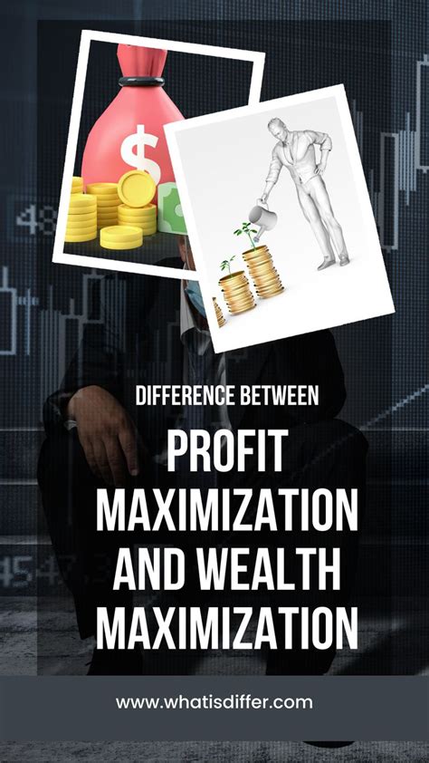 What Is The Difference Between Profit Maximization And Wealth Maximization What Is Differ