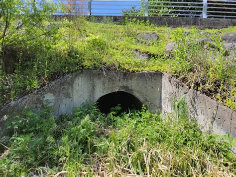 원주환경청 장마철 대비 국가하천 배수로 집중 점검 실시