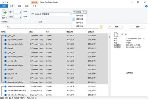 Wise Duplicate Finder 软件 官方授权正版软件平台