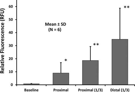 Hande Stained Bone Marrow Smears Demonstrating Bone Marrow Cellularity At Download Scientific