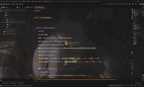 IntelliJ IDEA 便携增强版 果核剥壳
