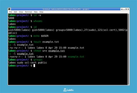 How To Find The Current User Id In Linux Labex