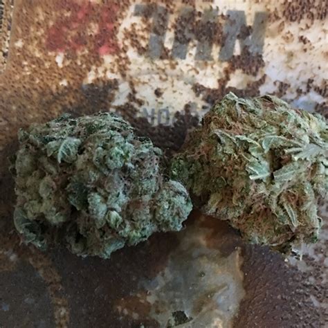 Hindu Kush Kart
