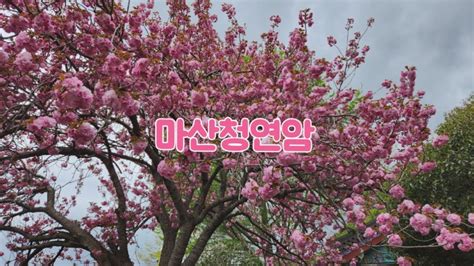 마산 청연암소박하고 깨끗한 사찰로 봄을 맞이하기 아주좋은곳 Youtube