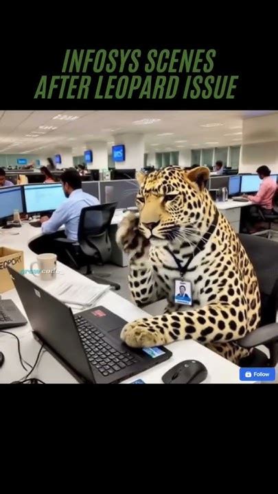Narayan Murthy Aura Codingmeme Code Infosys Memes Meme Coding Leopard Youtube