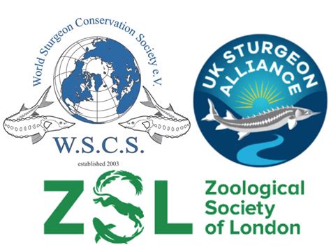 Sturgeon Bycatch Mitigation Workshop Sept 4 5 2024 Bordeaux Wscs