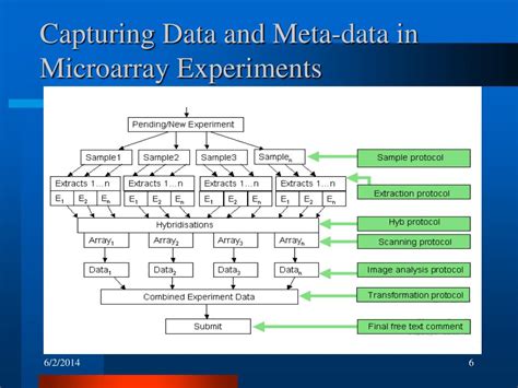ppt microarray databases and miame minimum information about a