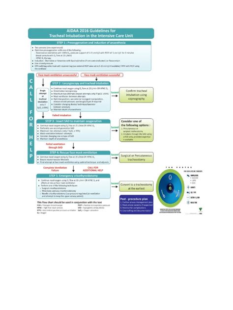 Difficult Airway Algorithm Pdf