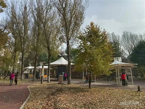 文化公园室外智能健身房投入使用 澎湃号·政务 澎湃新闻 The Paper