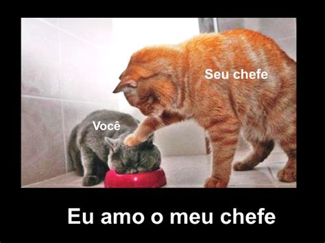 Textos EngraÇados E Cronicas EngraÇadas Eu Amo O Meu Chefe 3 Imagens