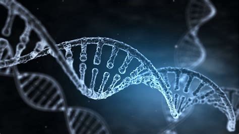 Seamless Looping Animation Of Rotating Dna Stock Motion Graphics Sbv