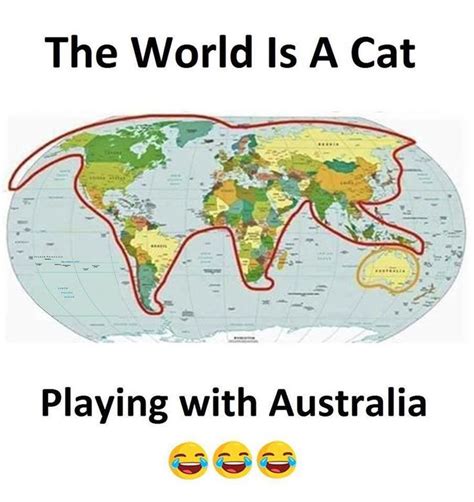 Pin By Pat Hayes On Must ♥ Cats Funny Cats Cat Playing Cats