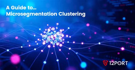 Leveraging Automatic Clustering For Effective Microsegmentation 12port
