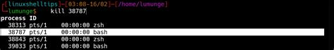 How To Install And Use ZSH Shell In Linux
