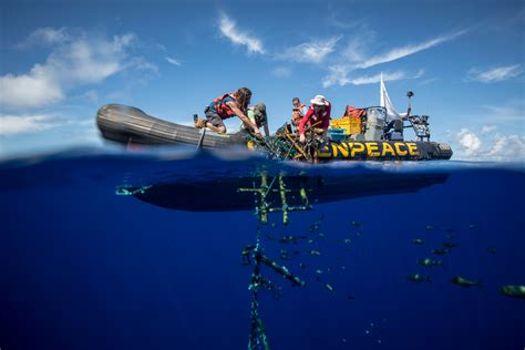 원양산업발전법 개정안에 대한 그린피스 제안서 Greenpeace Korea 그린피스