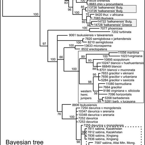 Bayesian Analysis Based On Four Cp Regions Adapted From Adams Et Al Download Scientific