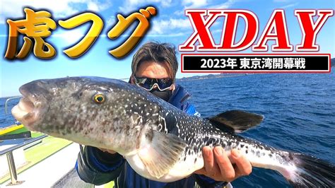 トラフグ釣り東京湾開幕今年は早めのXDAY到来巨大天然虎フグ連発吉久湾フグ YouTube