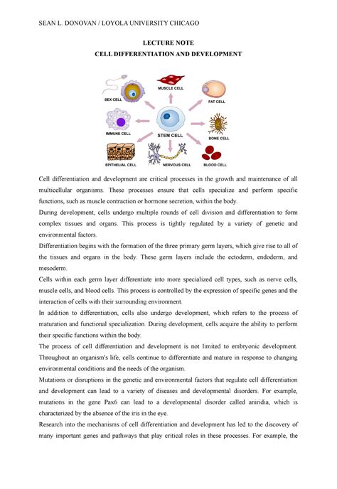 Lecture NOTE CELL Differentiation AND Development SEAN L DONOVAN