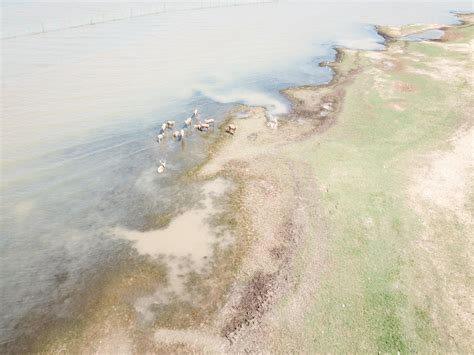 2024鄱阳湖国家湿地公园游玩攻略游玩滕王阁入住酒店后出租车【去哪儿攻略】
