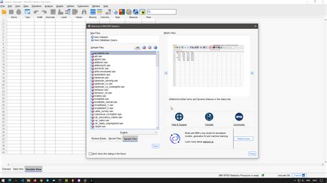 ibm spss statistics crack کرک شده دانلود برنامه های تخصصی کرک شده